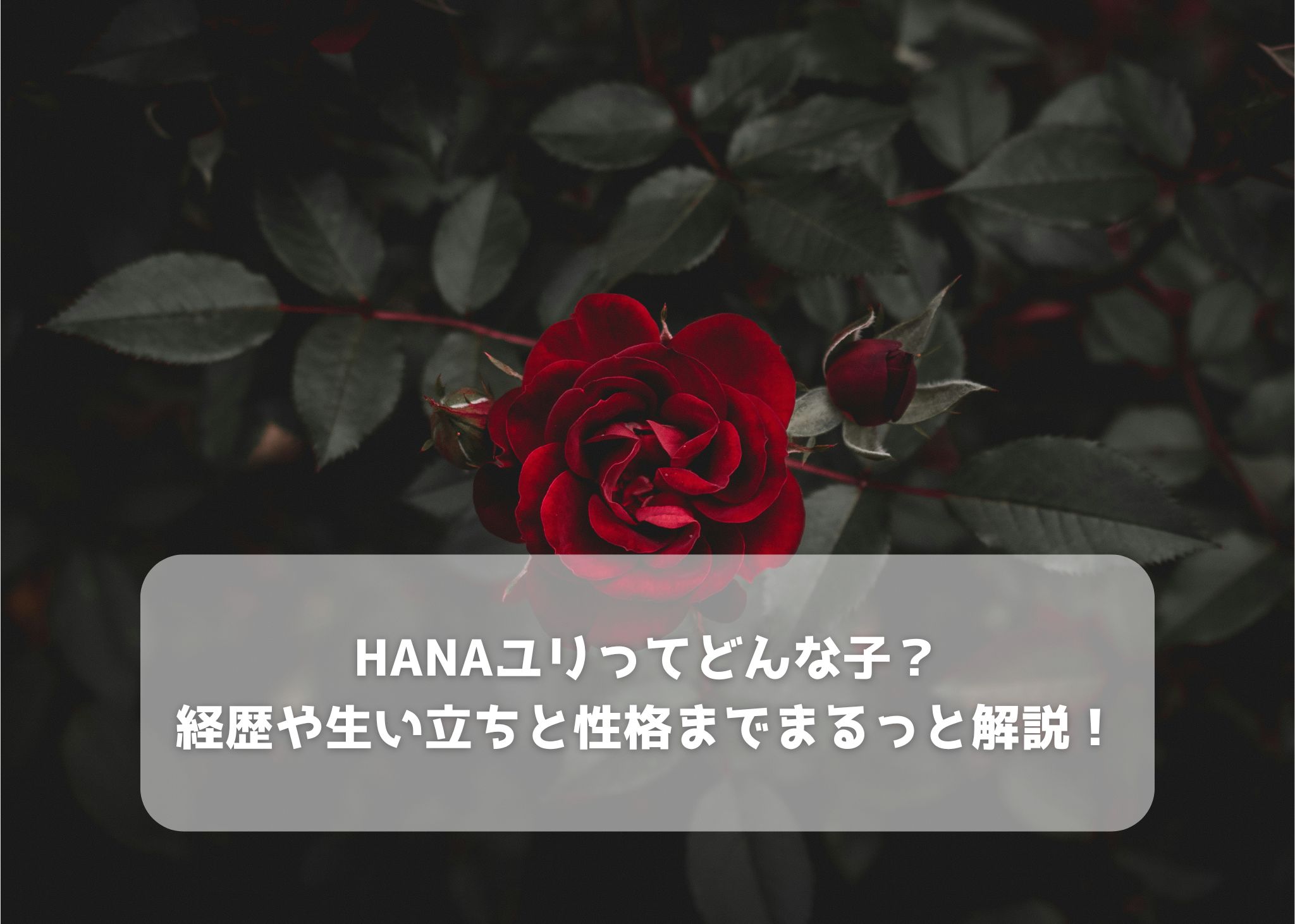 HANAユリってどんな子？経歴や生い立ちと性格までまるっと解説！ | Chat沼
